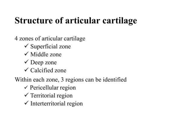 Anatomy of articular cartilage & Osteoarthritis | PPT