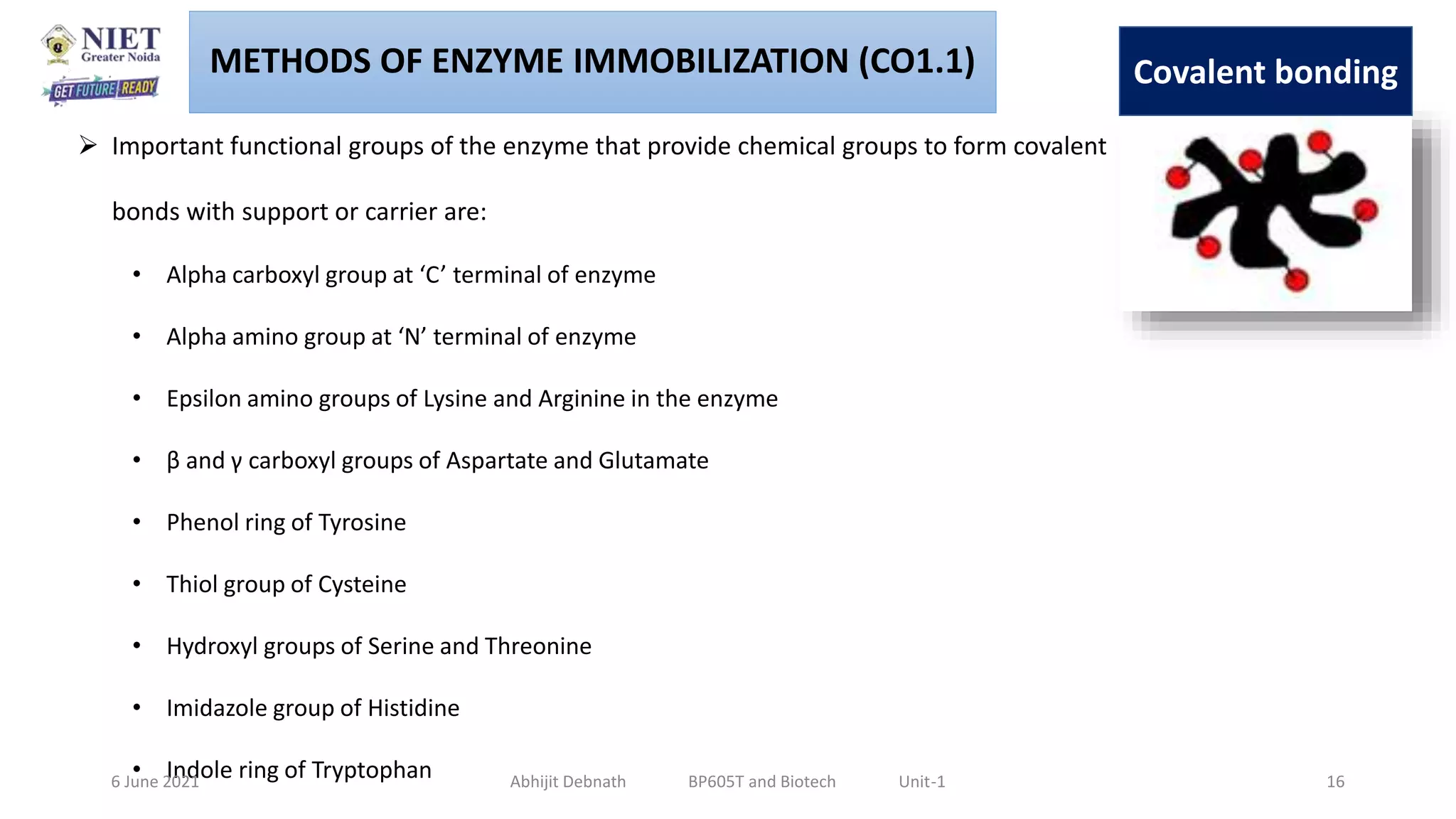 Enzyme Biotechnology | PPTX