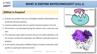 Enzyme Biotechnology | PPTX