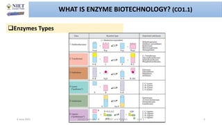 Enzyme Biotechnology | PPTX
