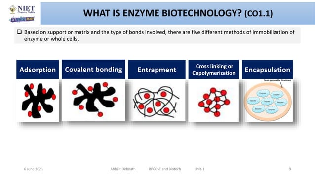 Enzyme Biotechnology | PPTX | Biotech and Biomedical Industry | Industries