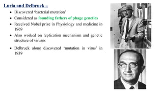 History of Plant virology | PDF