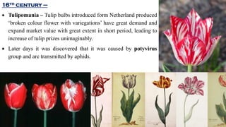 History of Plant virology | PDF