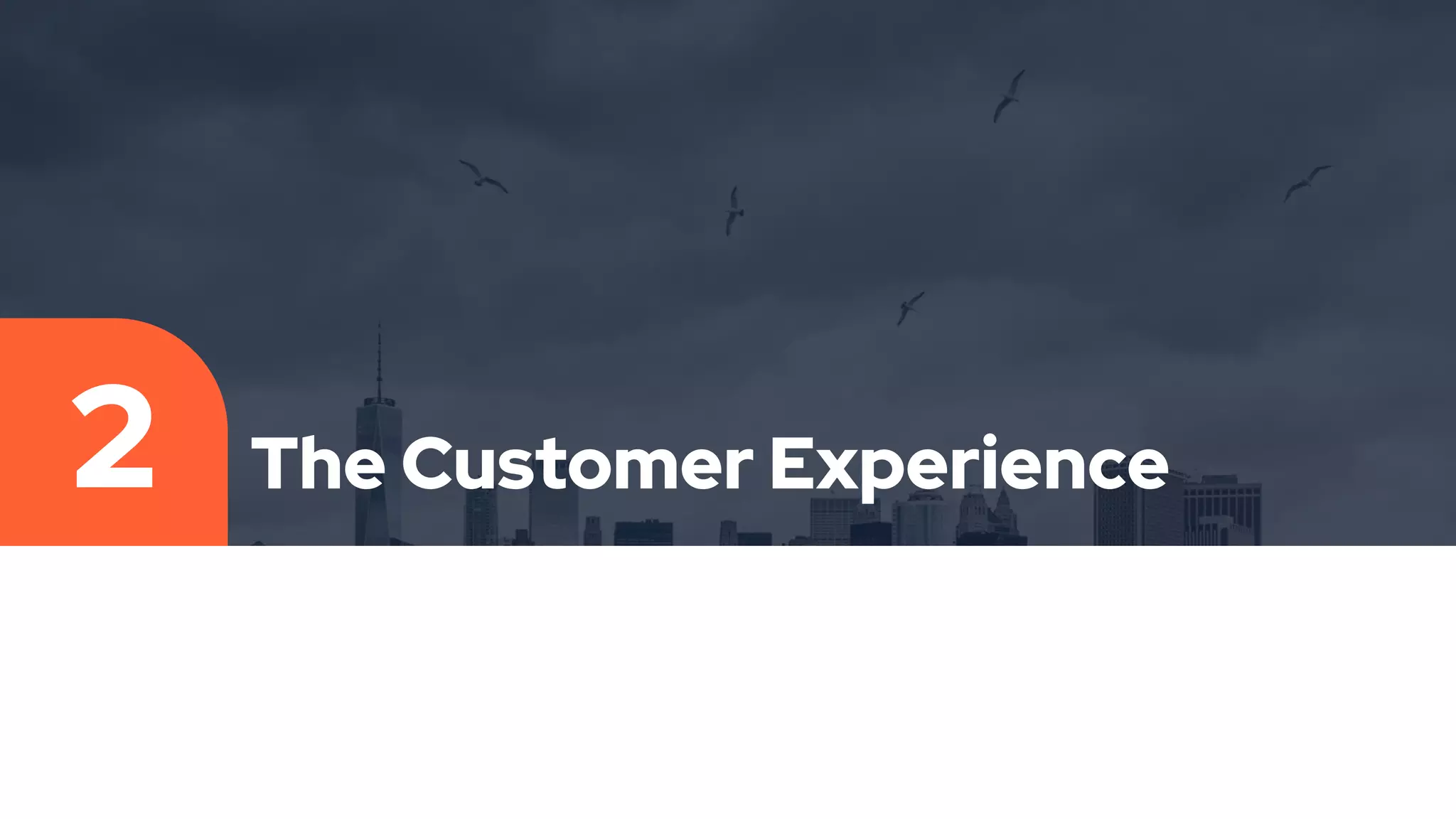 The Customer Experience | PPT