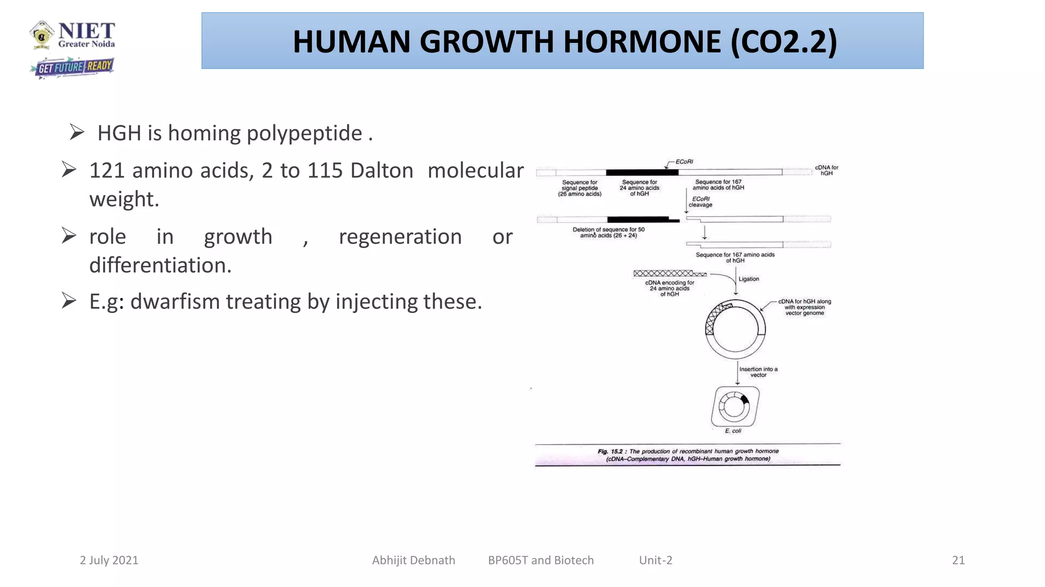 Recombinant DNA Technology | PPTX