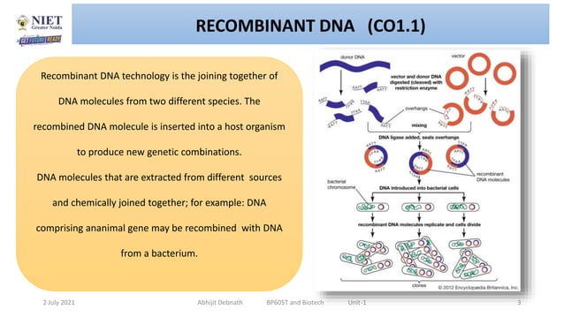 Recombinant DNA Technology | PPTX | Biotech and Biomedical Industry ...