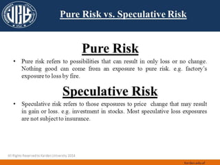 Pure and Speculative Business Risks PGP VIVA VVIT | PPT