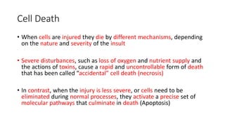 2. cell injury and cell death | PPT