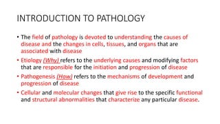 2. cell injury and cell death | PPT