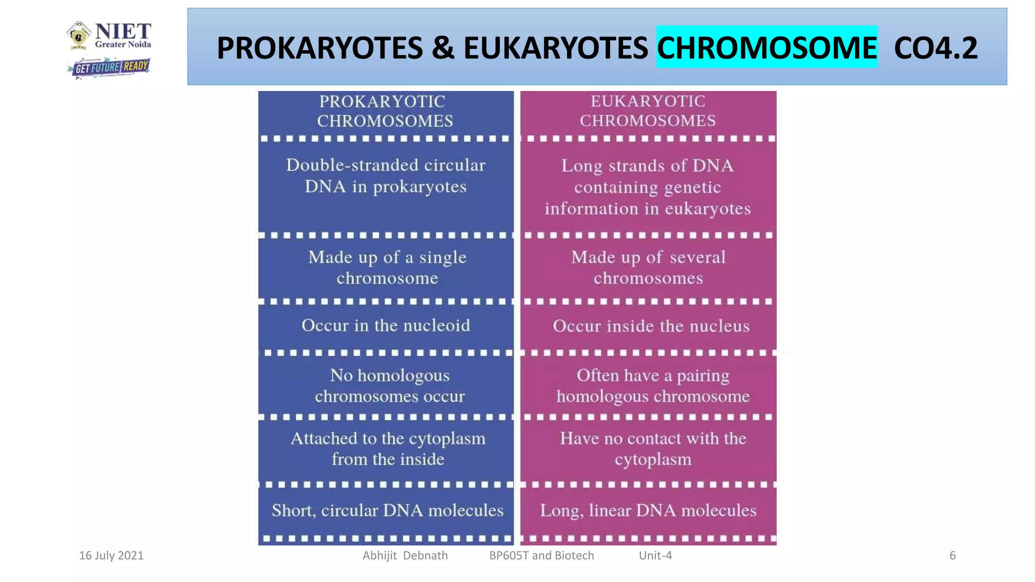 Genetic organization of eukaryotes and prokaryotes | PPTX