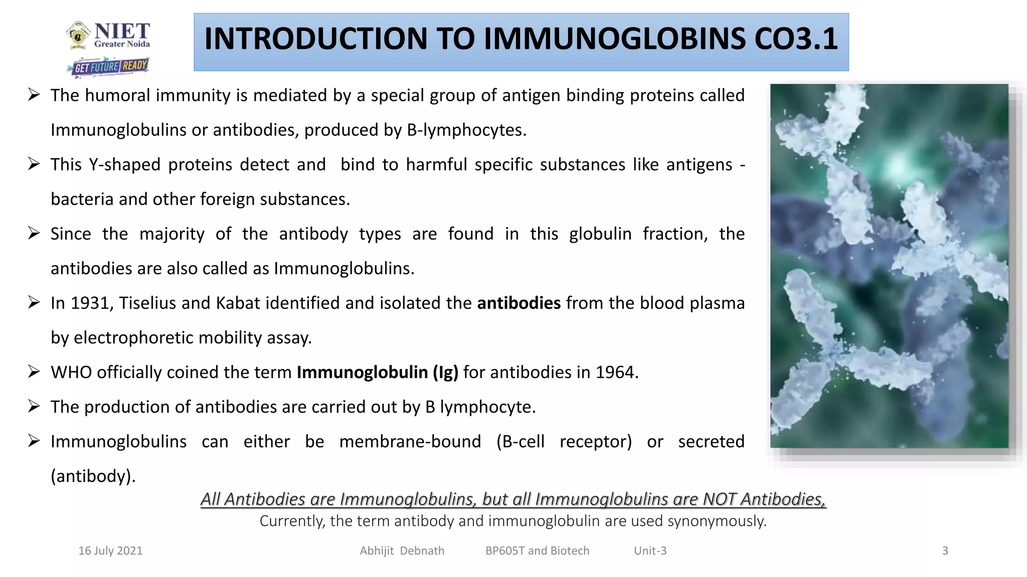 Structure of Immunoglobulins | PPTX