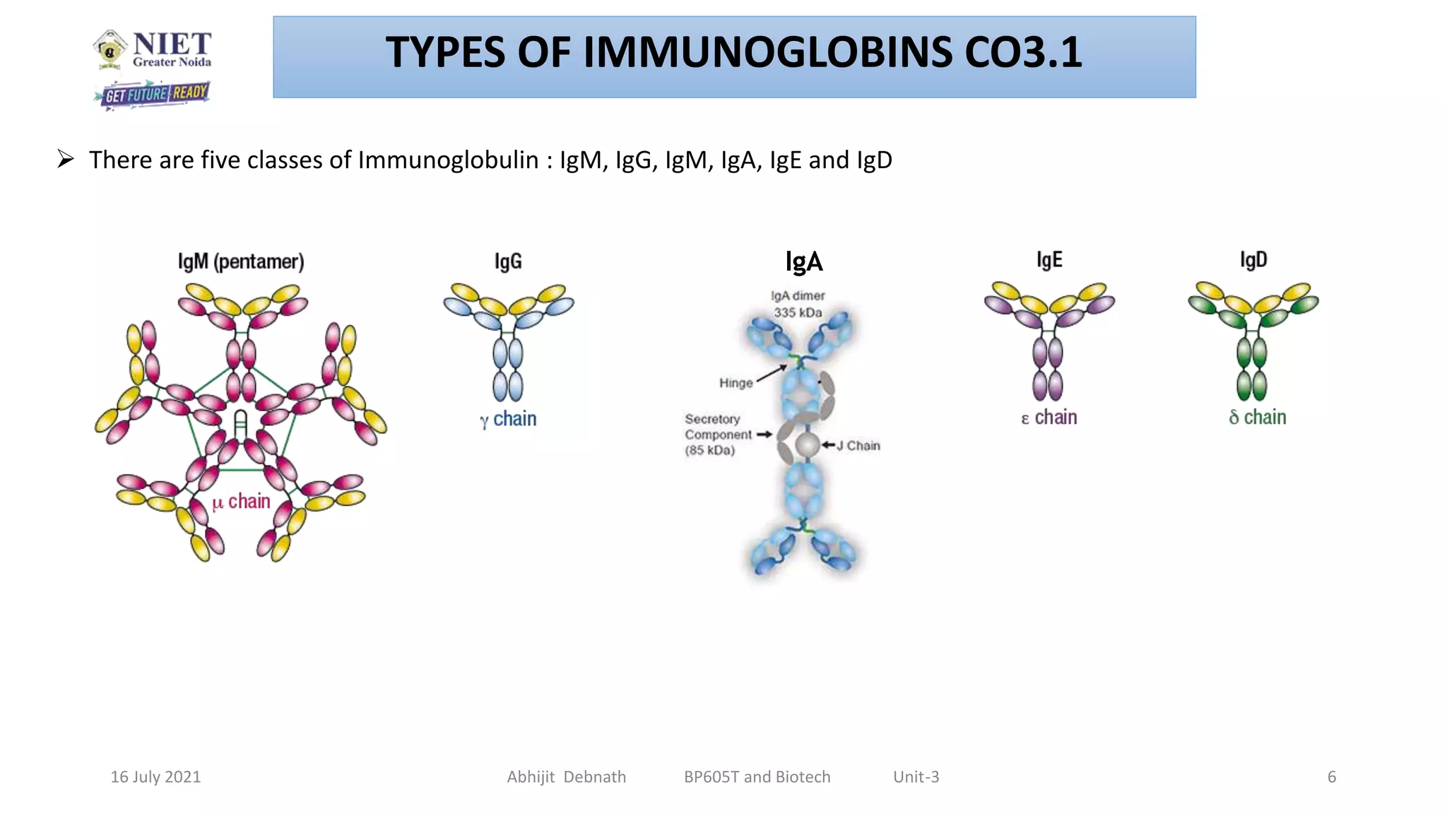 Structure of Immunoglobulins | PPTX
