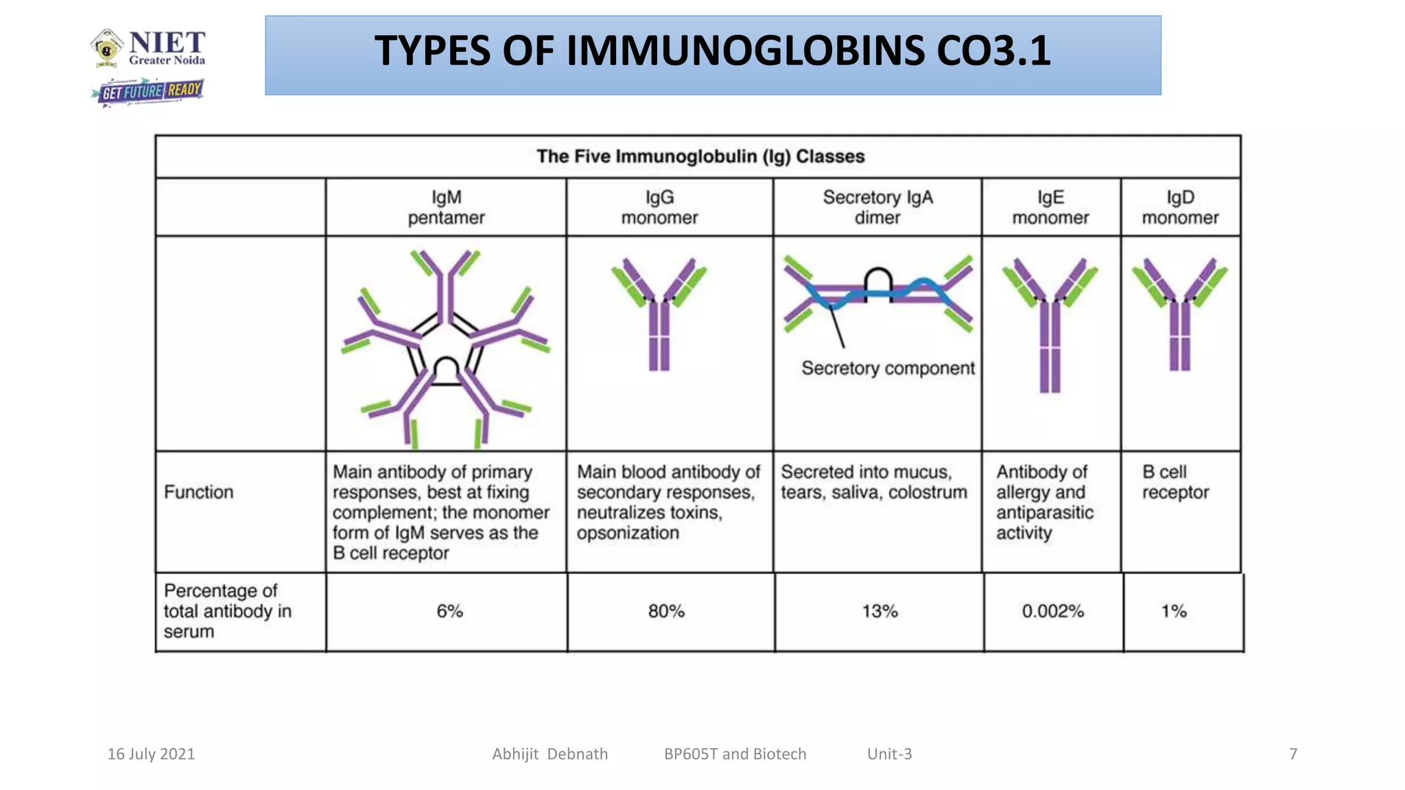 Structure of Immunoglobulins | PPTX