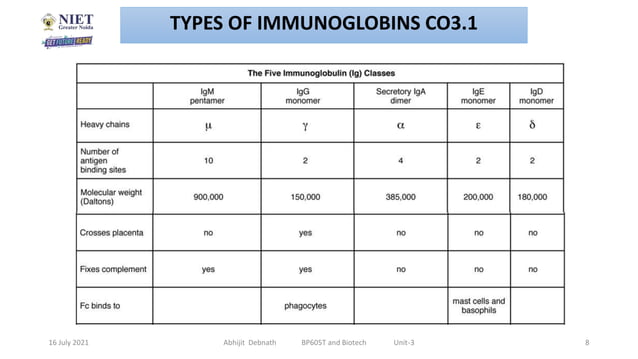 Structure of Immunoglobulins | PPTX | Infectious Diseases | Diseases ...
