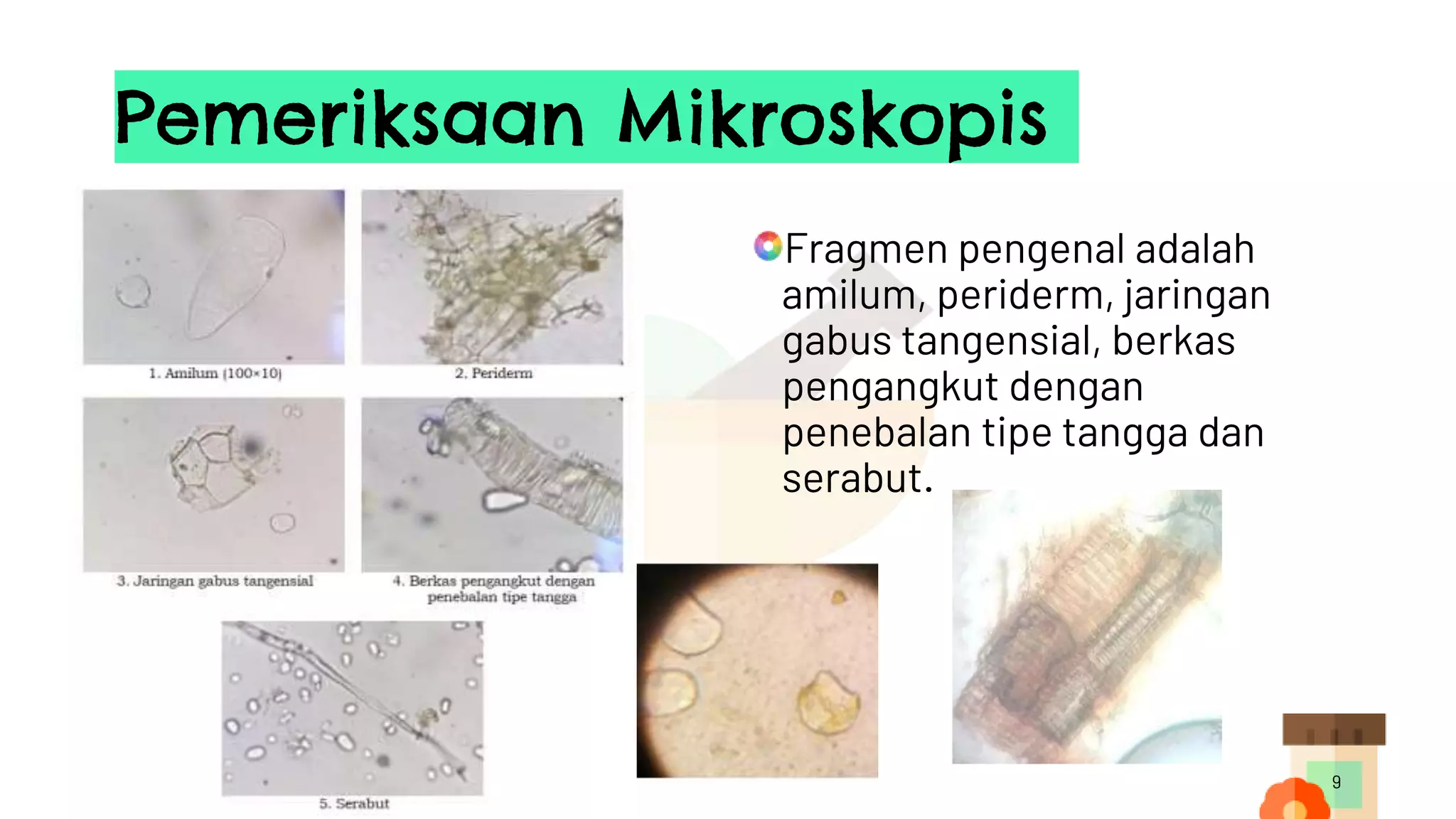 PEMERIKSAAN MUTU SIMPLISIA | PPTX