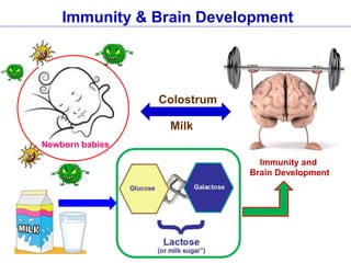 Food Value of Milk (Why We Need Milk?) | PPT