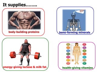 Food Value of Milk (Why We Need Milk?) | PPT