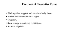 2. tissue level of organization | PPT