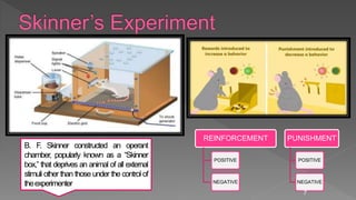 pavlov’s experiment and skinner's experiment | PPT