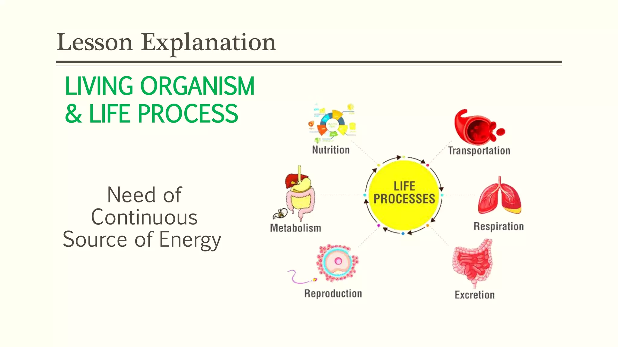 Chapter 2. Life Process in Living Organisms- Part 1 (1st Part) | PPTX