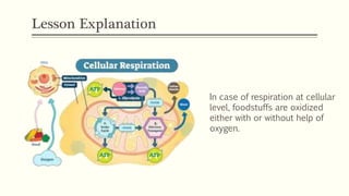 Chapter 2. Life Process in Living Organisms- Part 1 (1st Part) | PPTX
