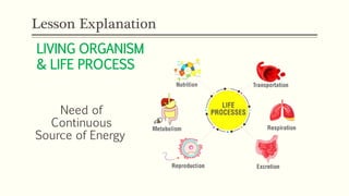 Chapter 2. Life Process in Living Organisms- Part 1 (1st Part) | PPT