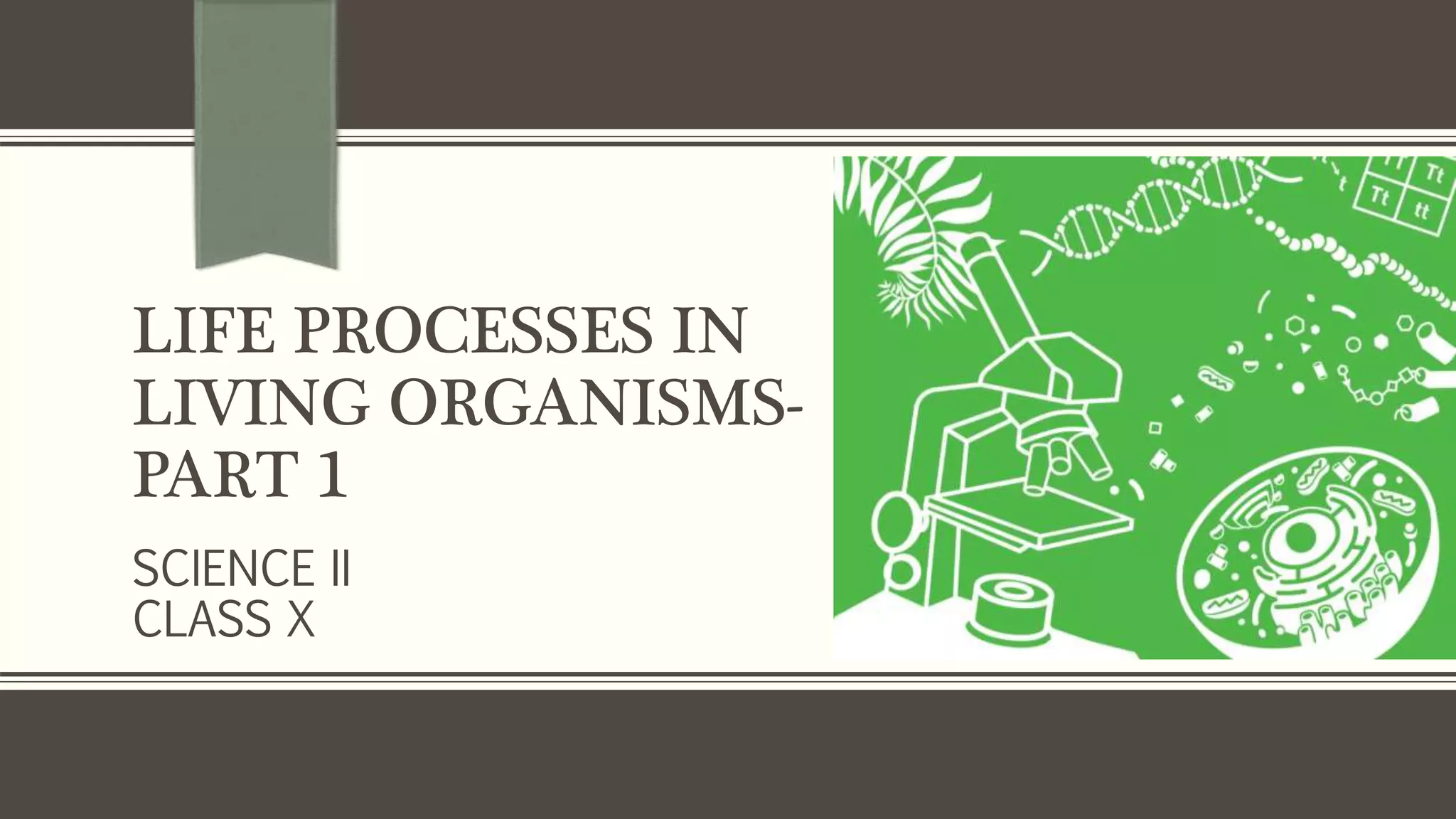 2. Life Process in Living Organisms- Part 1 (2nd Part) | PPTX