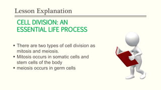 2. Life Process in Living Organisms- Part 1 (2nd Part) | PPTX