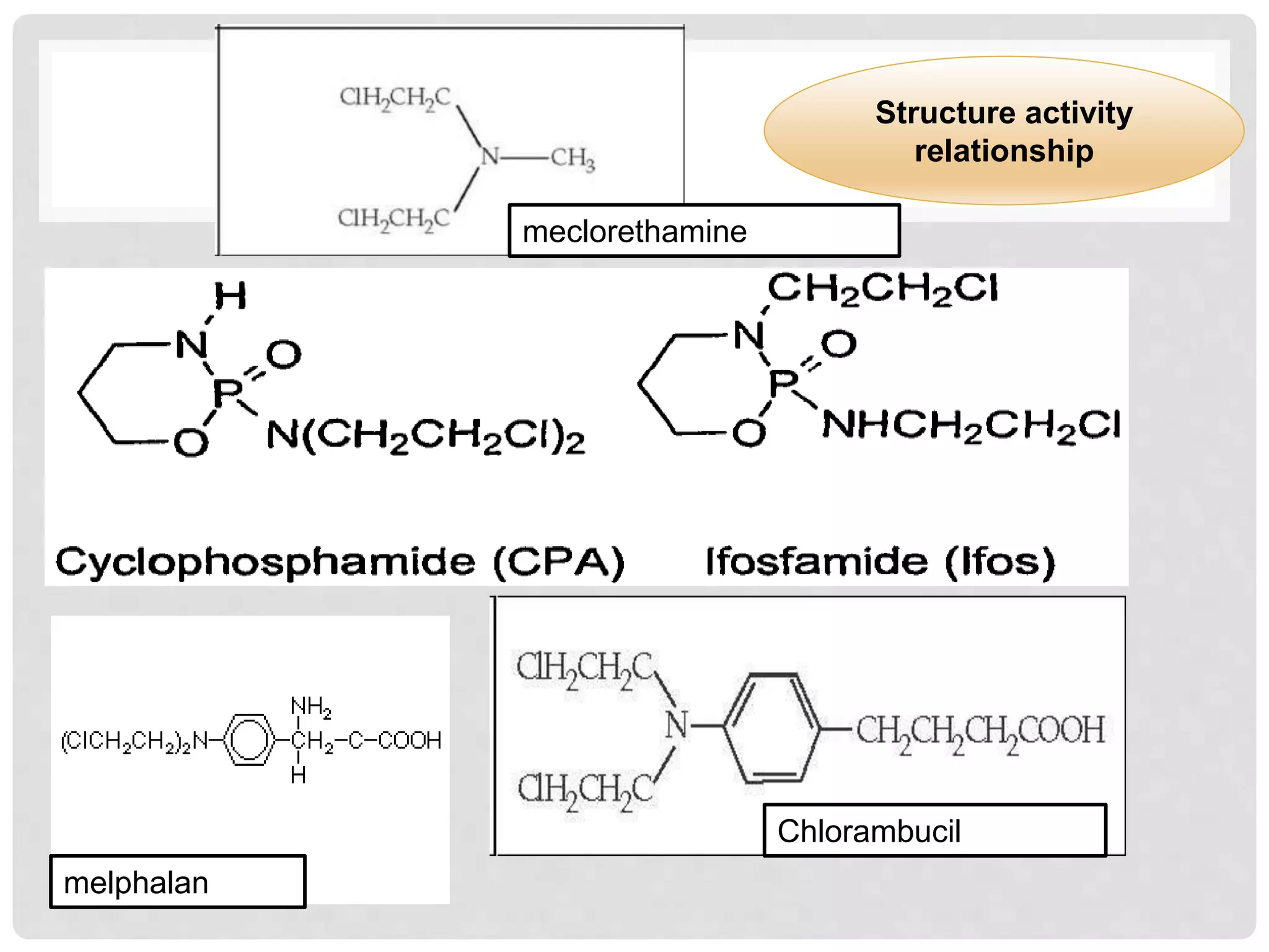 2. alkylating & anti-metabolite drugs | PPTX