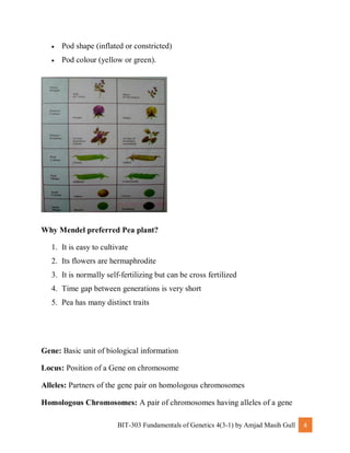 Basic Principles of Inheritance | PDF