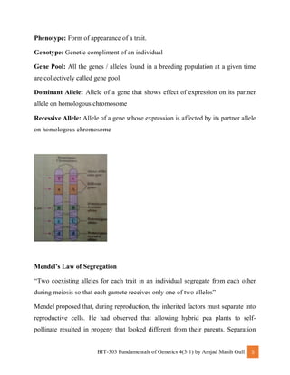 Basic Principles of Inheritance | PDF