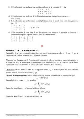 2. determinantes | PDF