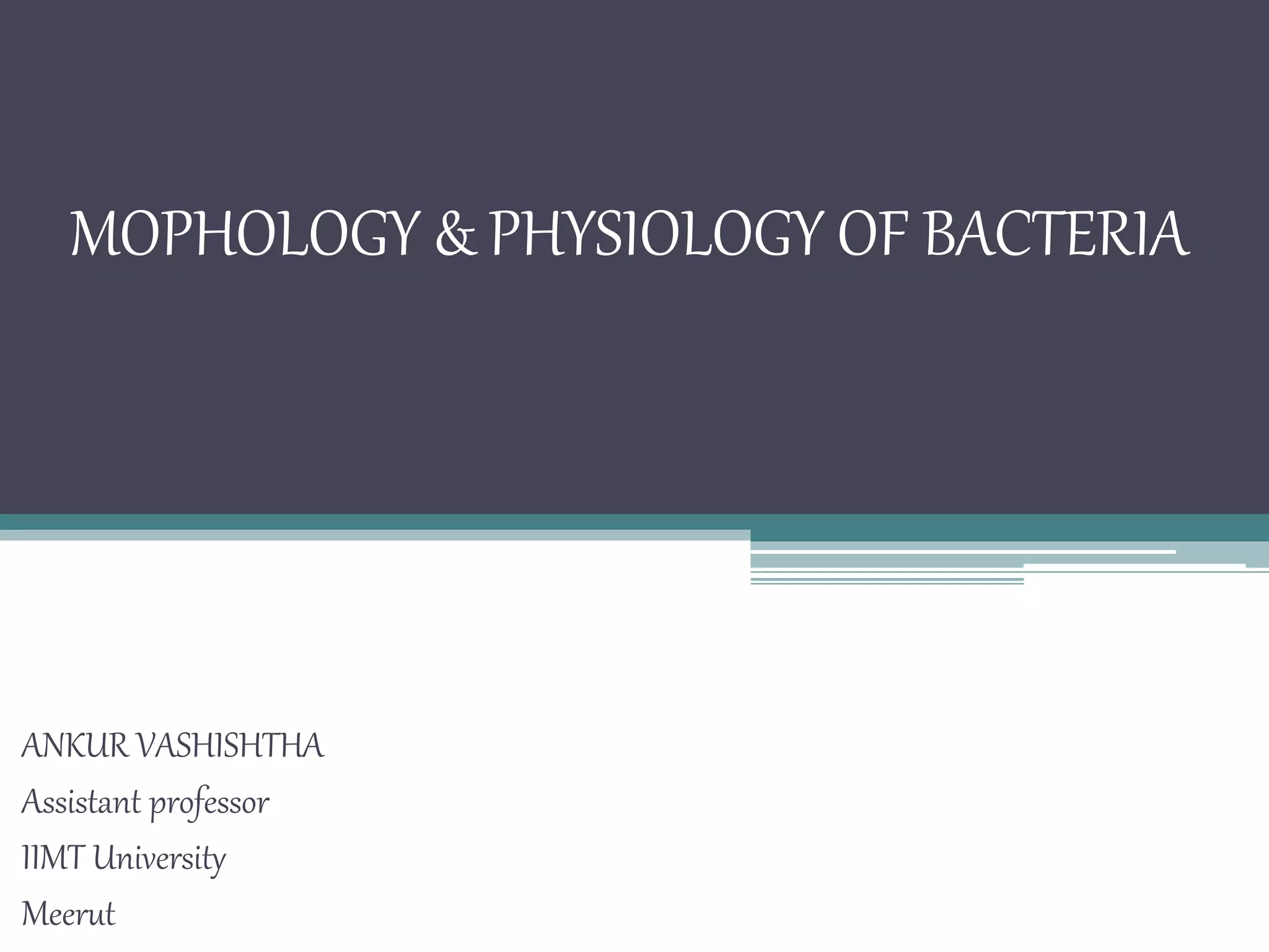 Morphology & Physiology of Bacteria | PPTX