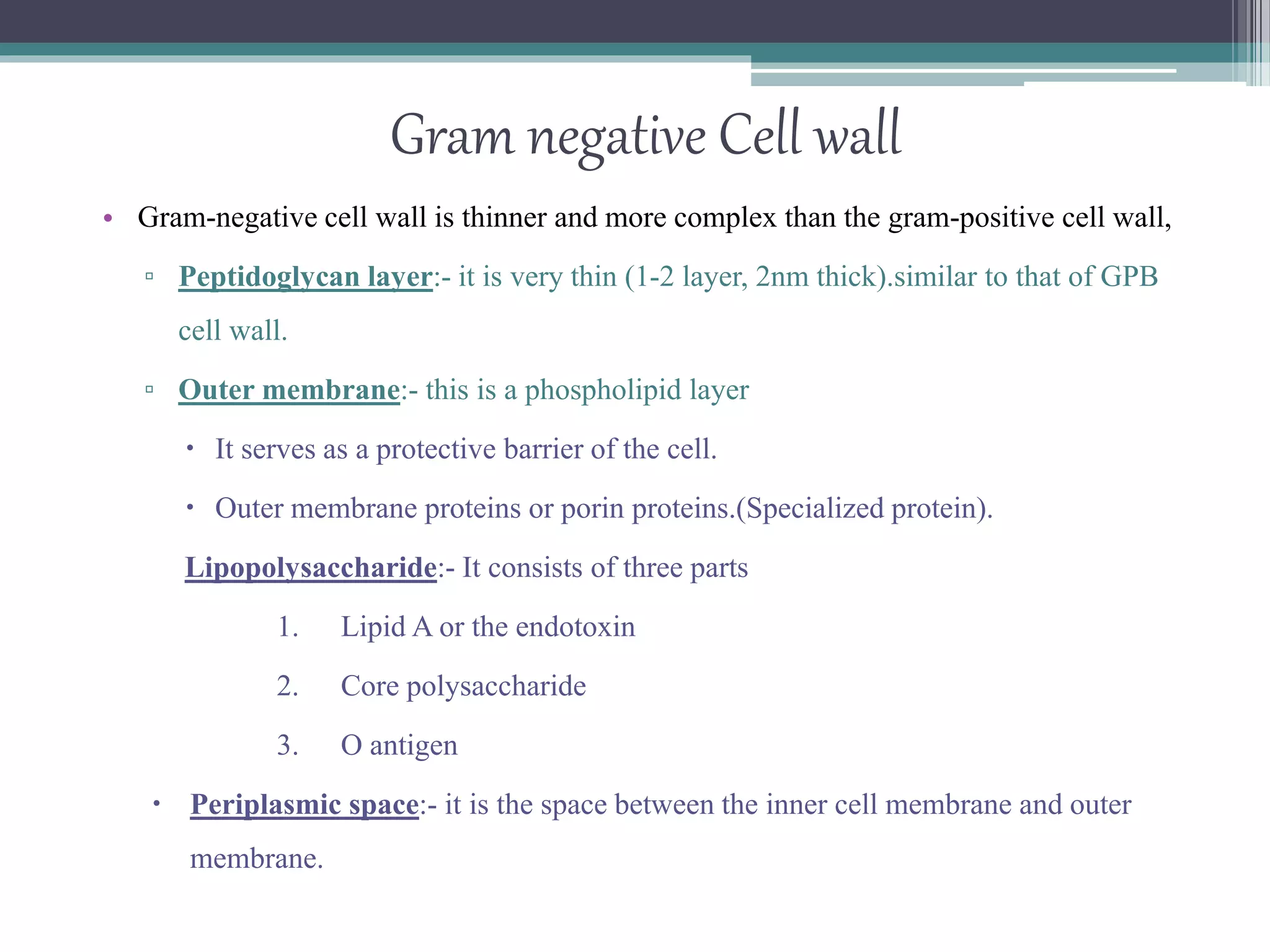 Morphology & Physiology of Bacteria | PPTX