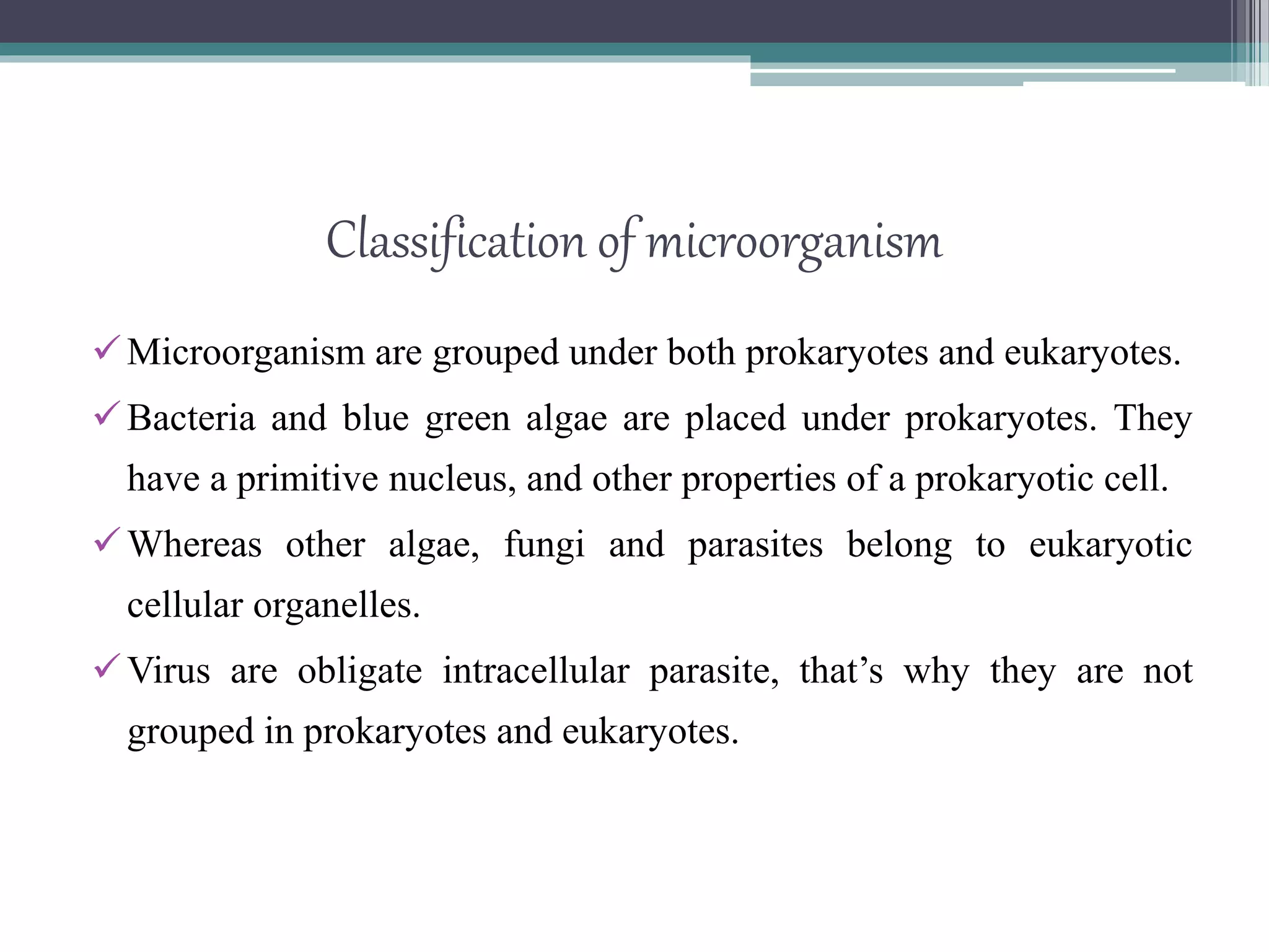 Morphology & Physiology of Bacteria | PPTX