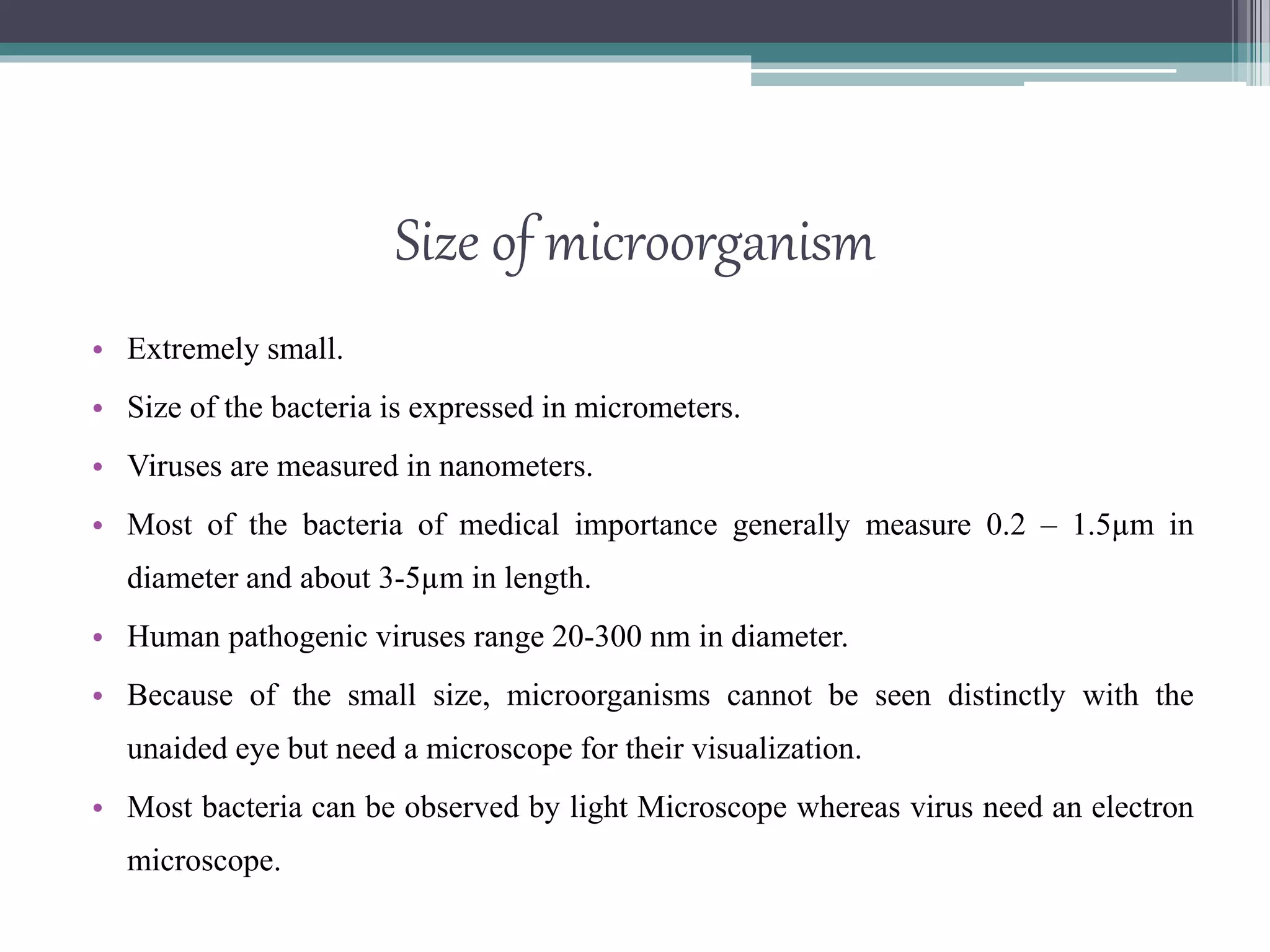 Morphology & Physiology of Bacteria | PPTX