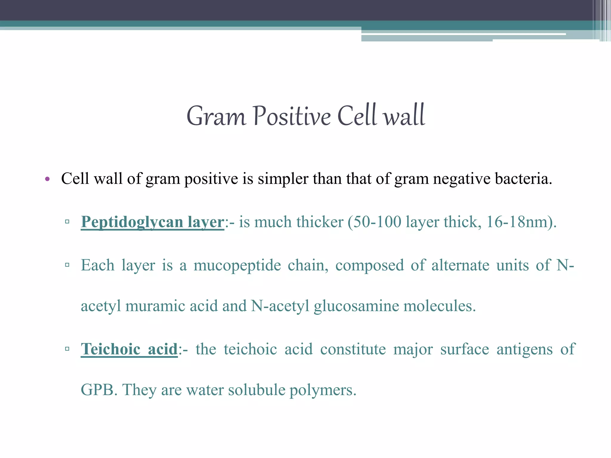 Morphology & Physiology of Bacteria | PPTX