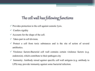 Morphology & Physiology of Bacteria | PPTX