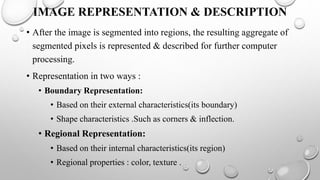Fundamentals steps in Digital Image processing | PPTX