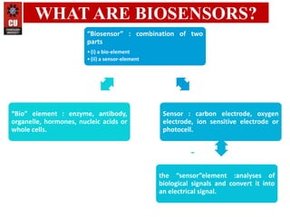 2. biosensor (1) | PPTX