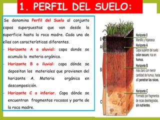 Capas De Suelo Para Niños