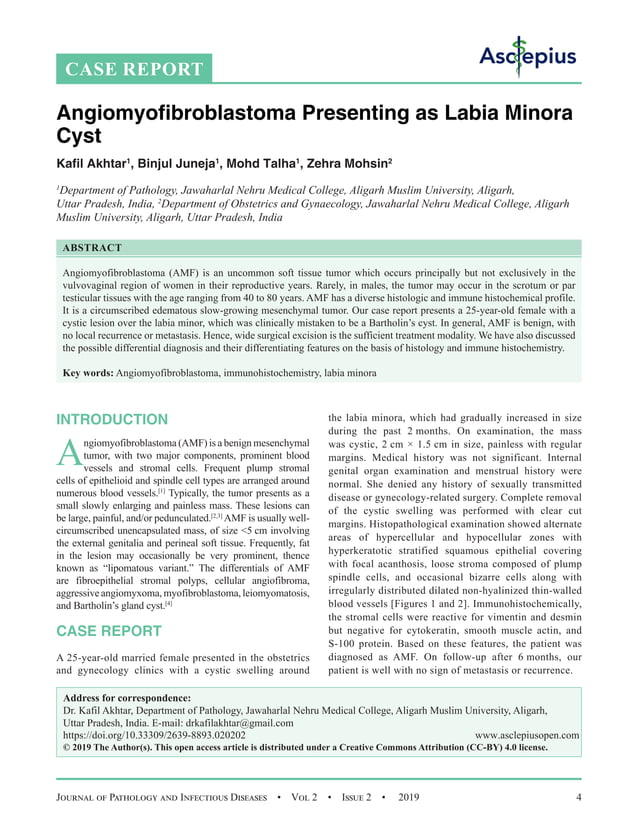 Angiomyofibroblastoma Presenting as Labia Minora Cyst | PDF | Medical ...