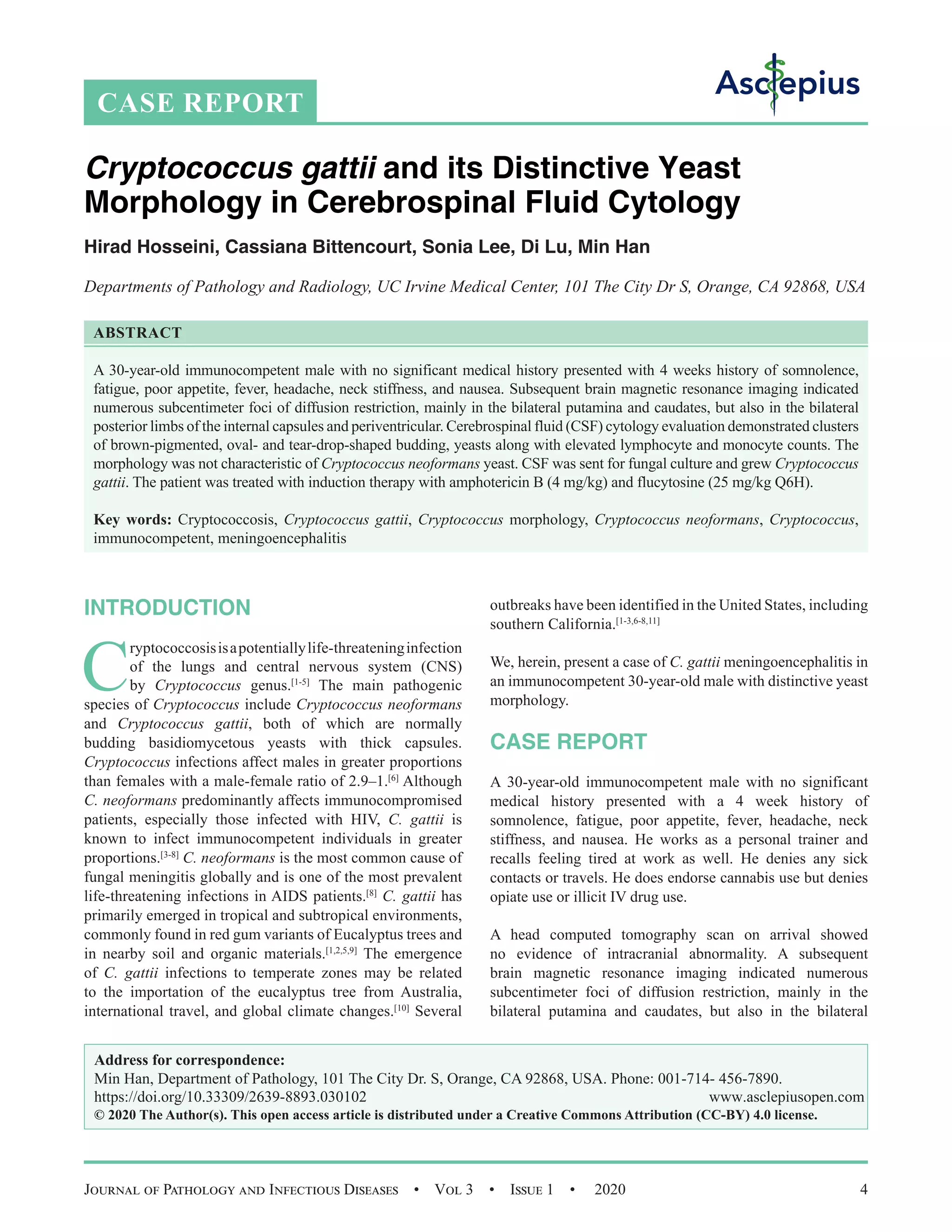 Cryptococcus gattii and its Distinctive Yeast Morphology in ...