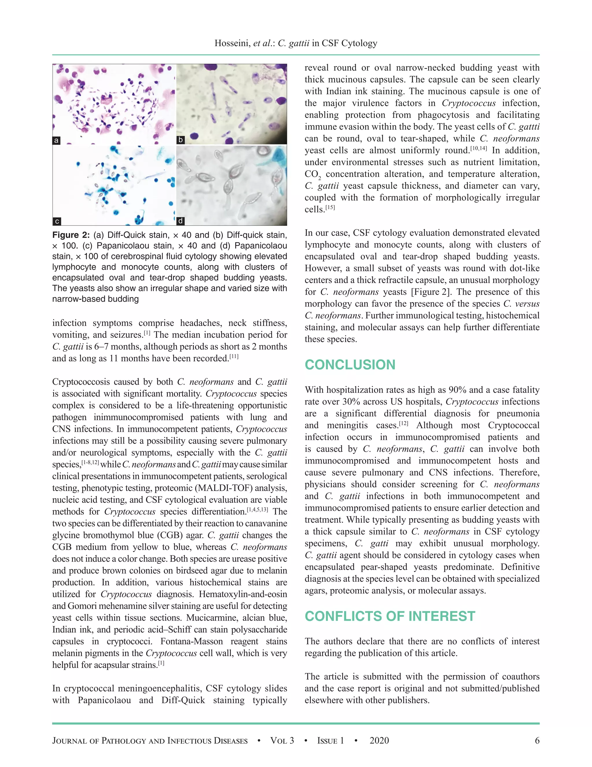 Cryptococcus gattii and its Distinctive Yeast Morphology in ...