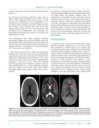 Cryptococcus gattii and its Distinctive Yeast Morphology in ...