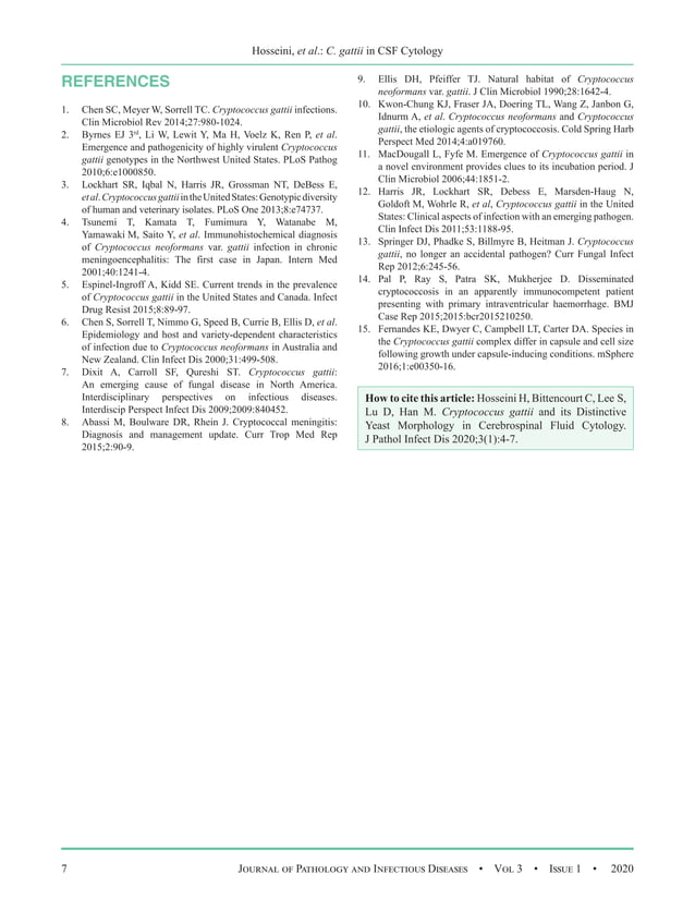 Cryptococcus gattii and its Distinctive Yeast Morphology in ...