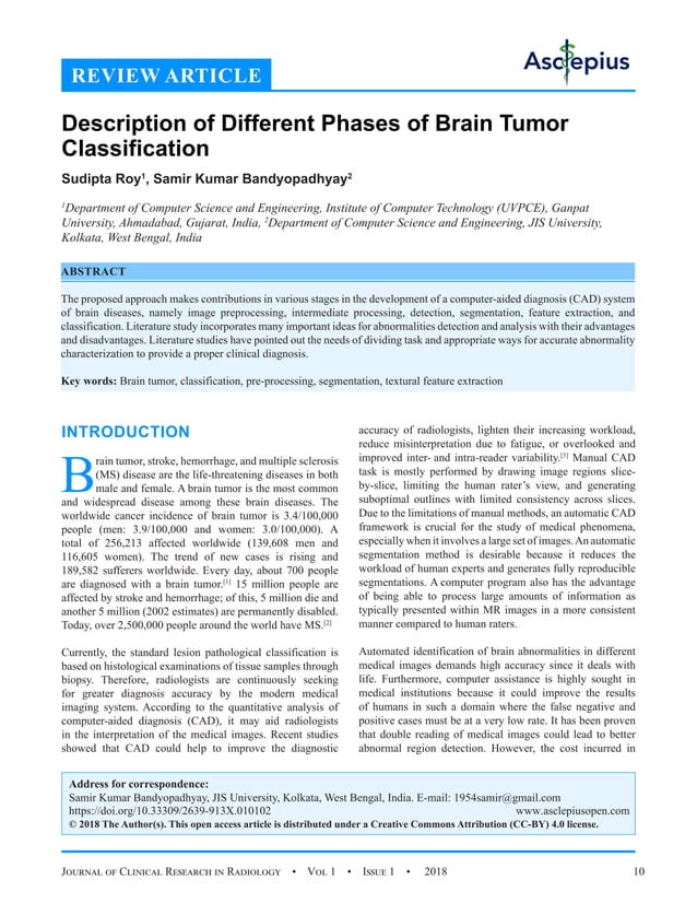Description of Different Phases of Brain Tumor Classification | PDF