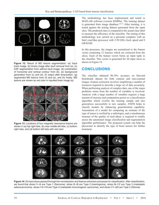 Description of Different Phases of Brain Tumor Classification | PDF
