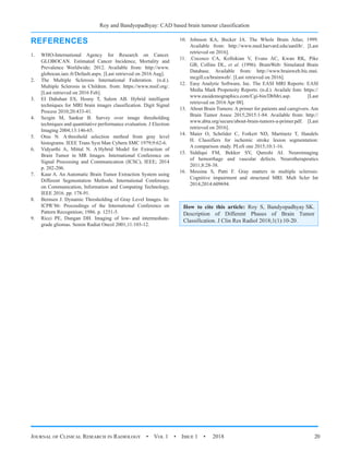 Description of Different Phases of Brain Tumor Classification | PDF