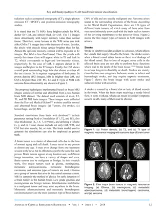 Description of Different Phases of Brain Tumor Classification | PDF